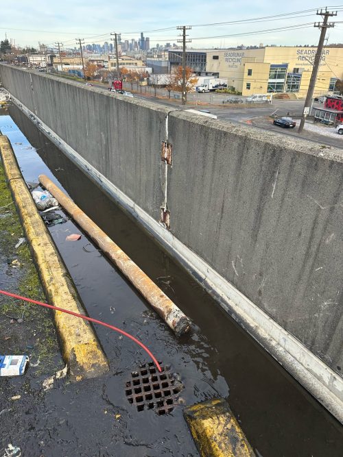 Professional Drain and Sewer Services in Bothell, WA | Knight Rooter LLC