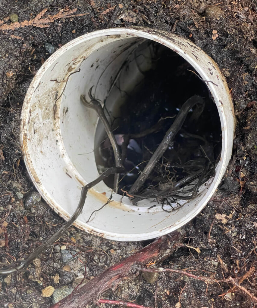 Sewer & Drain Cleaning Services - Knight Rooter | Sewer & Drain ...